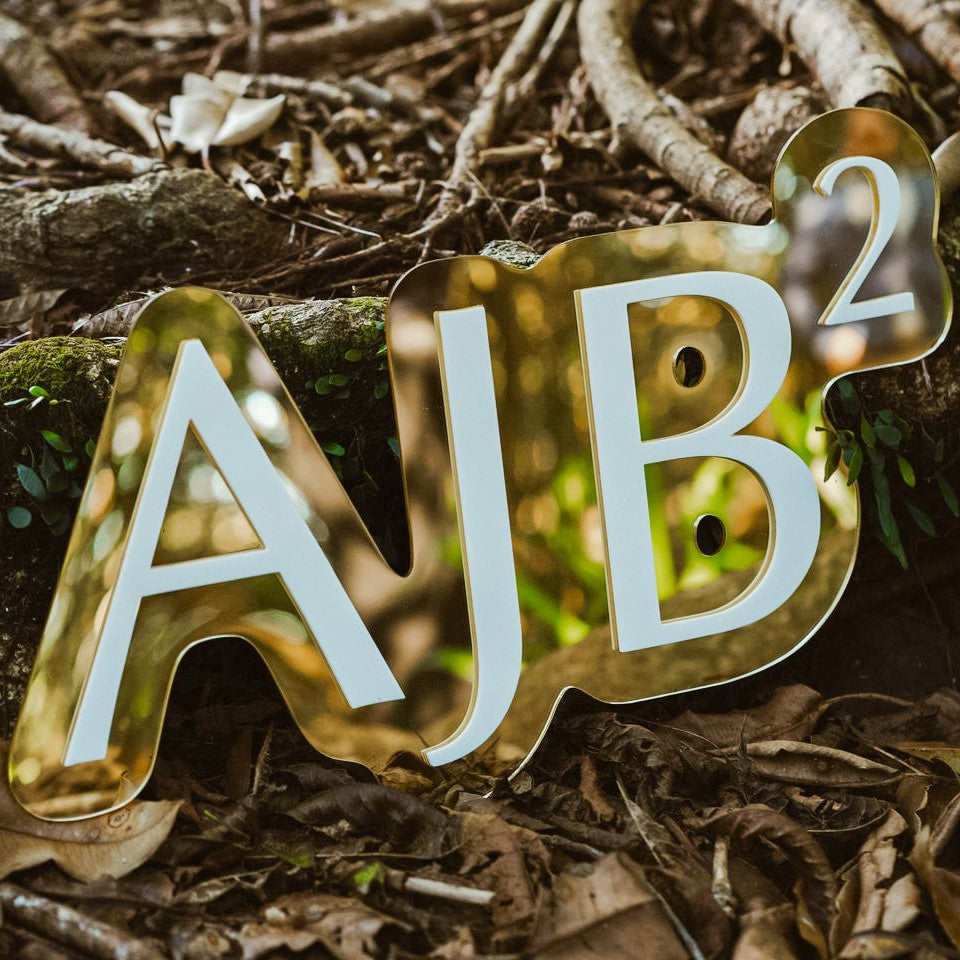 Custom Acrylic 3D Double Layered Business Logo Sign, Personalised ...